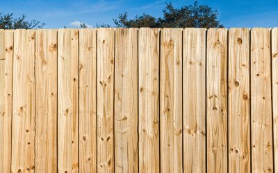Choosing the right fence palings — Nexus Property Services