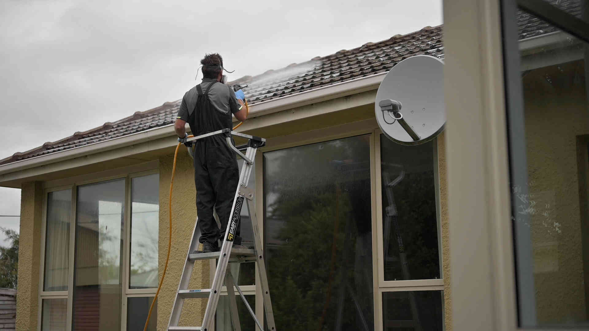 Is moss a problem on the roof? — Nexus Property Services